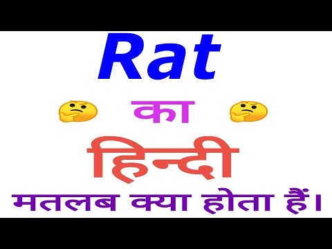Rat meaning in hindi | Rat in hindi | Rat in hindi meaning