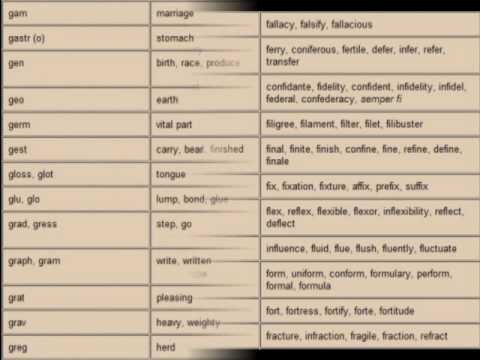Latin and Greek Prefixes, Roots, & Suffixes