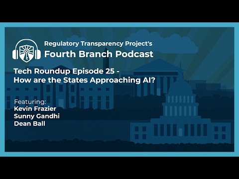 How are the States Approaching AI?