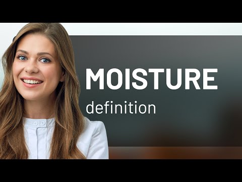 Moisture — definition of MOISTURE
