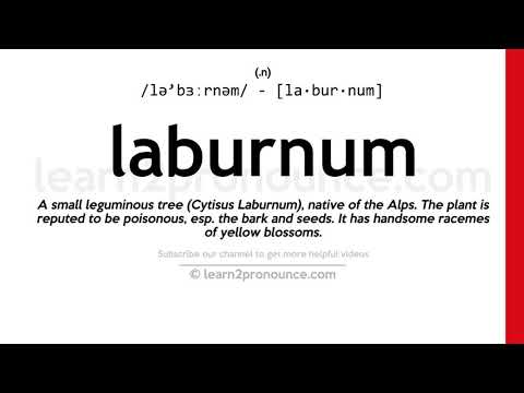 How to pronounce Laburnum | English pronunciation