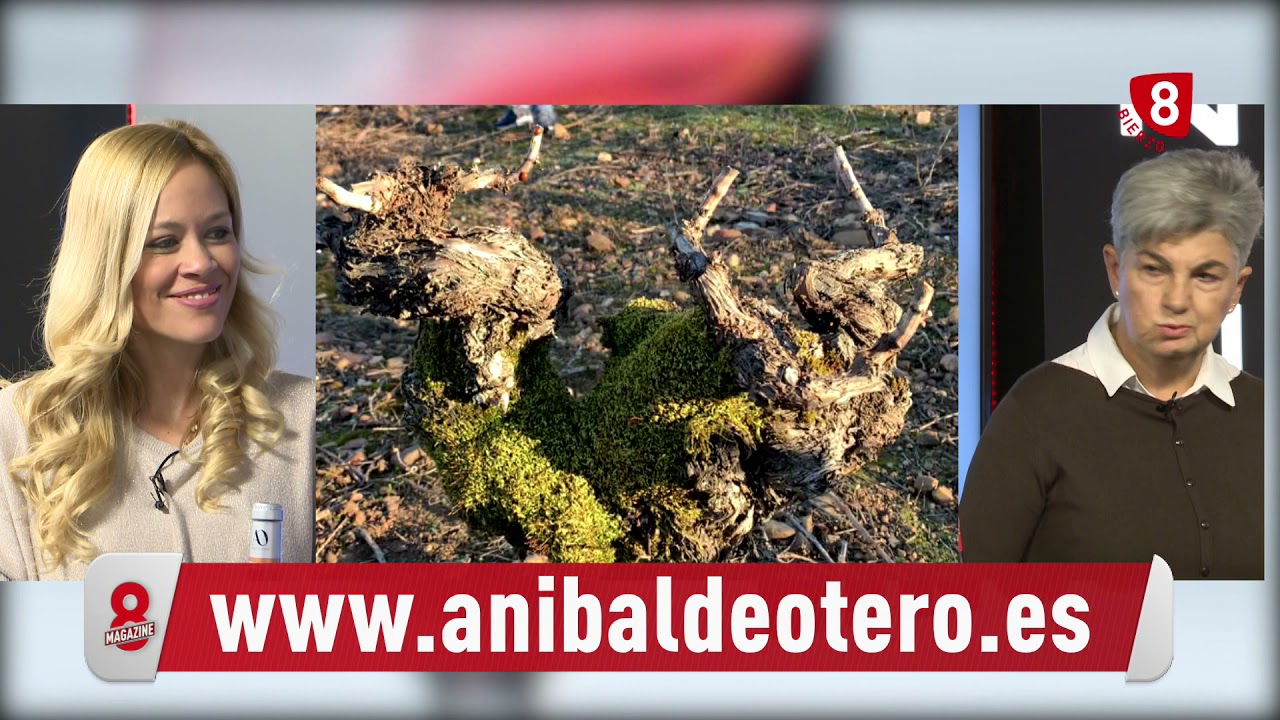 8 Bierzo | Va de Vinos - Anibal de Otero, 25 Noviembre