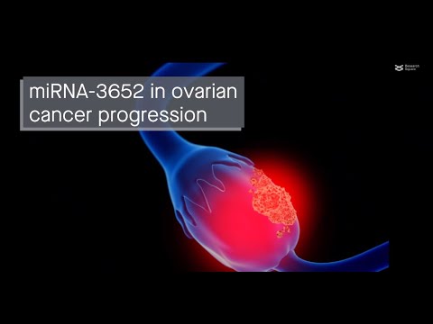 Unlocking the potential of miRNA-3652: A key player in ovarian cancer progression