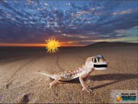 Desert Definition
