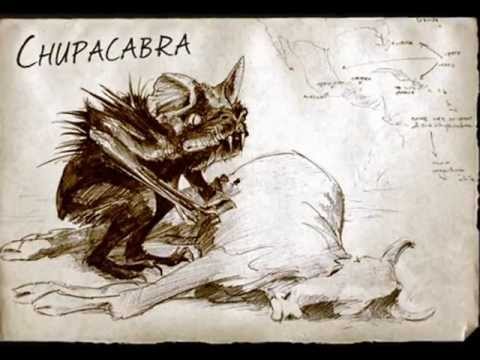 Mysterious Chupacabra