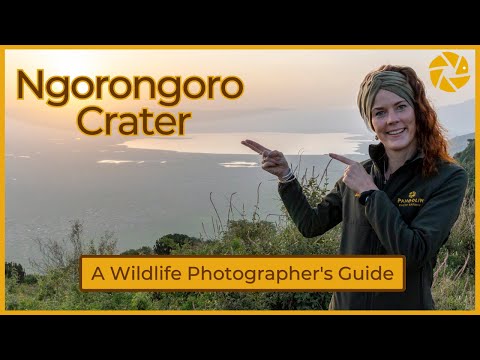 ONE DAY in the Ngorongoro Crater - Is that enough time?