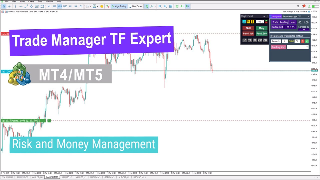 Mastering Trade Management with the TF Expert in MetaTrader 5 | Galaxy.ai