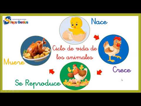 TOMi.digital - Ciclo de vida de los seres vivos