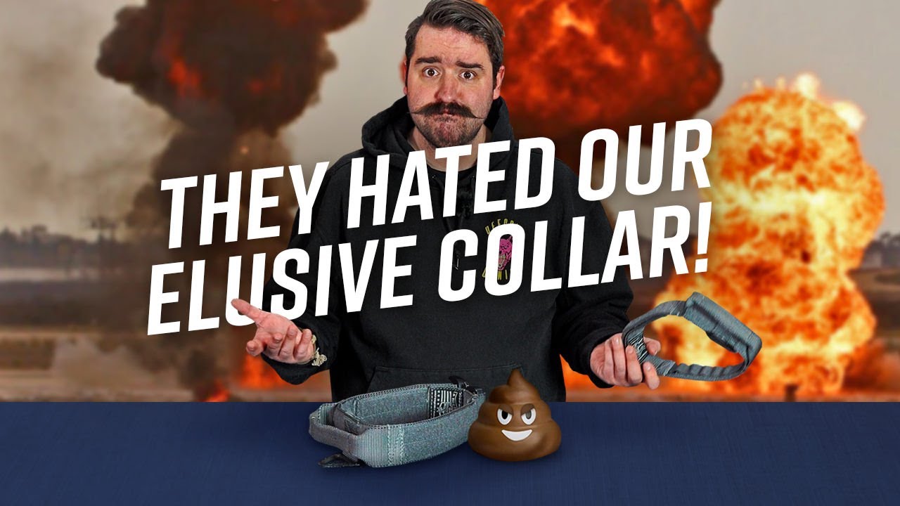 E-Lusive 2.0™ ID Collar... Haters Gonna Hate
