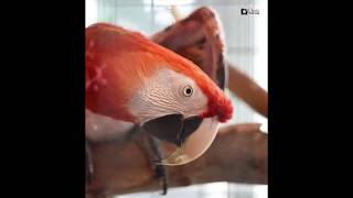 3 Best Places To See in Mirabel, QC - Expert Recommendations