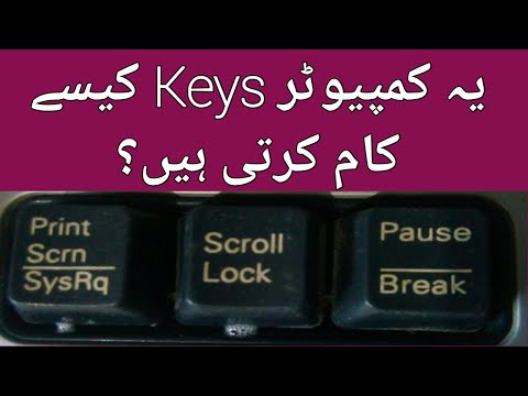 Print Screen, Scroll Lock and Pause keys on Computer