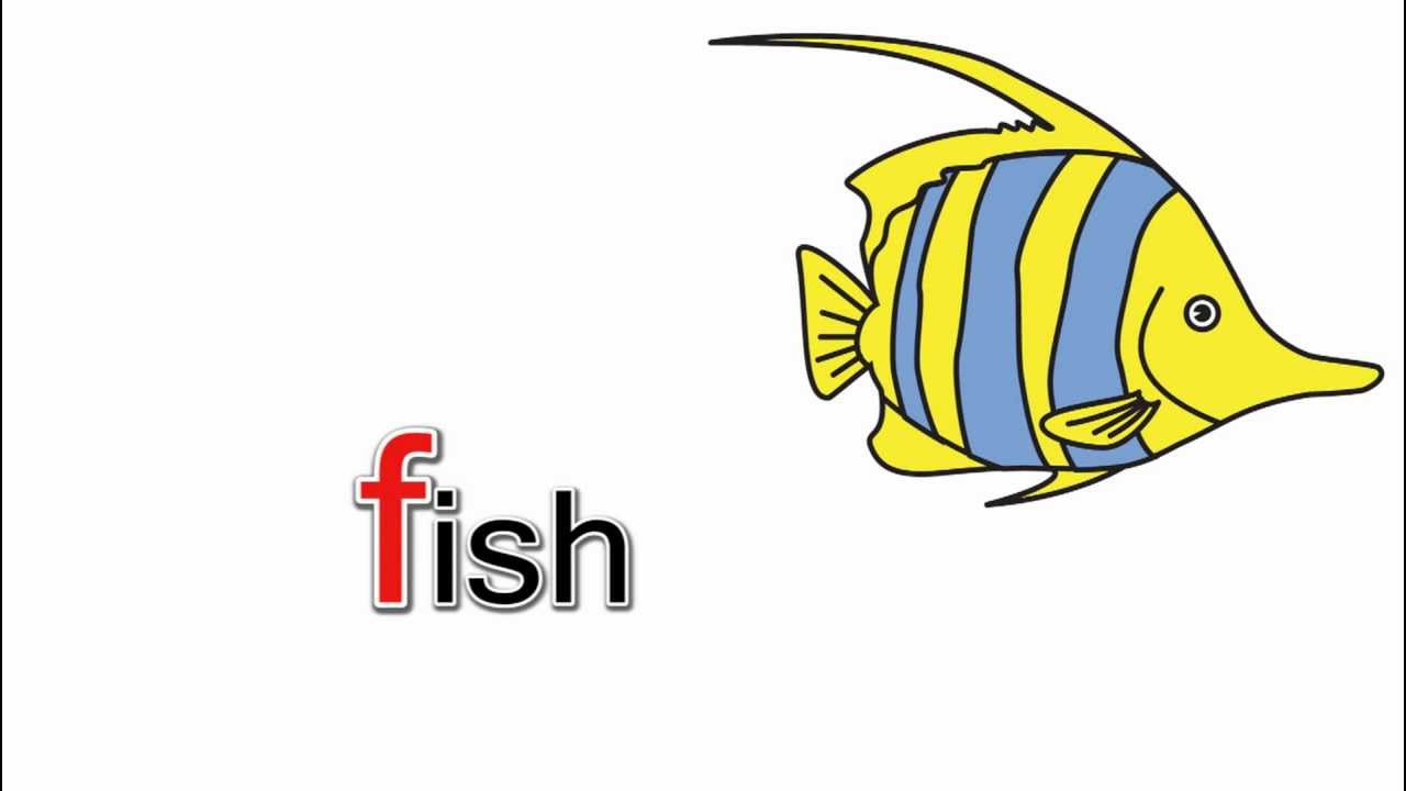 F - Ring Card Phonics