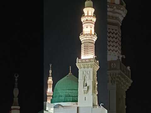 Basaarat kho Gayi Lekin||#ghulammustafaqadri #naatsharif #shortvideo #shorts #hamd #gmq #reels #fyp