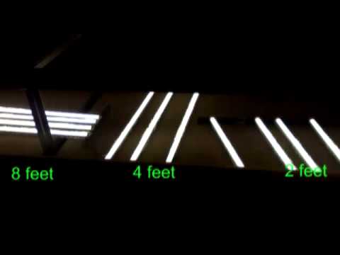 8 feet T8 SMD LED tube light.mp4
