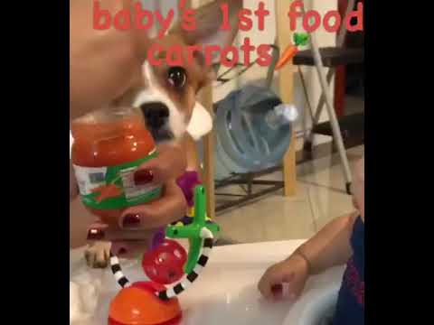 Henry Boy's 1st spoon feed