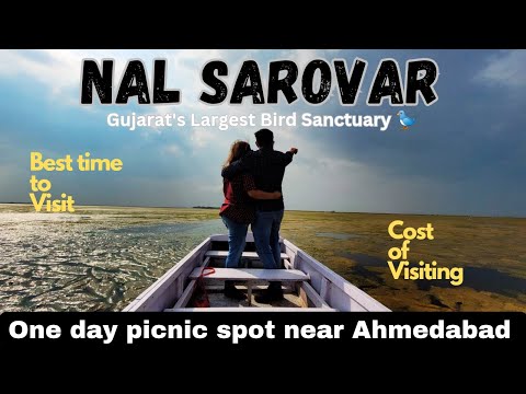 Nalsarovar - Gujarat's largest Wetland Bird sanctuary | Vlog 89 |
