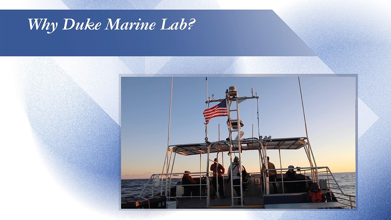Why Duke Marine Lab?