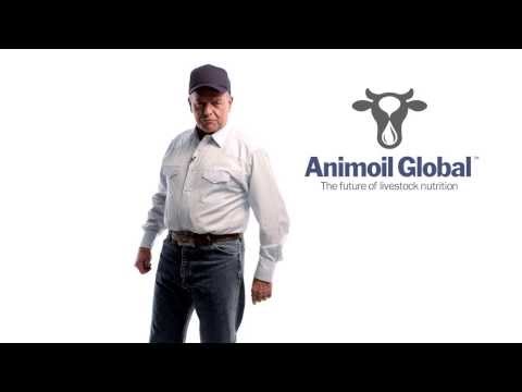 Animoil Global - The Future of Livestock Nutrition