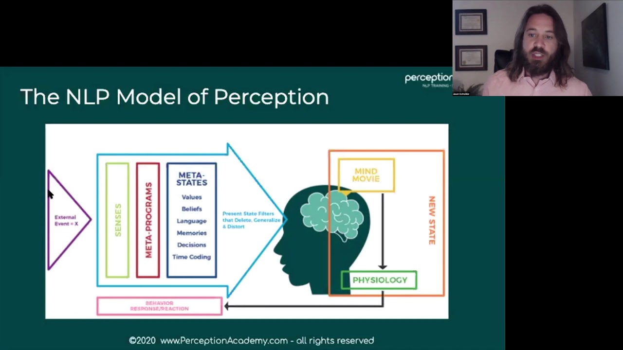 The NLP Model of Perception