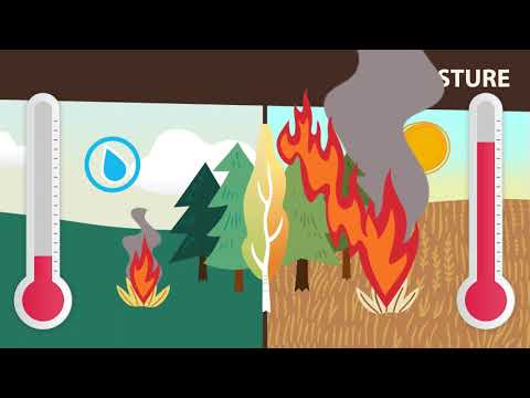 Introduction to Fire Weather