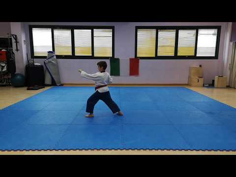 Video 2 Semi final Luca Banini - 1st Online Daedo Open European Poomsae Championships