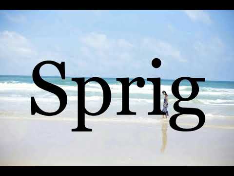 How To Pronounce Sprig๐๐๐๐๐๐Pronunciation Of Sprig