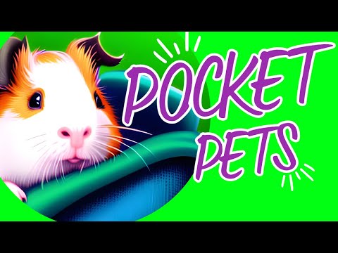 Top 10 Best Small Furry Pets - Pocket Pets