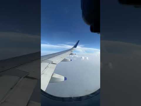 View From Indigo 6E Window Seat #indigo #flight #flightvideos #kkr #flightvideo #aircraft #kolkata