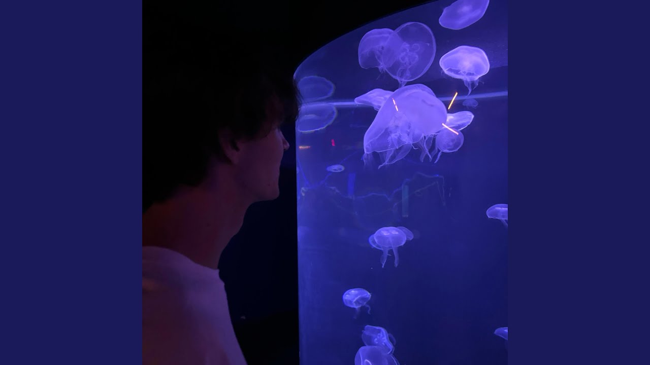 jellyfish emoji