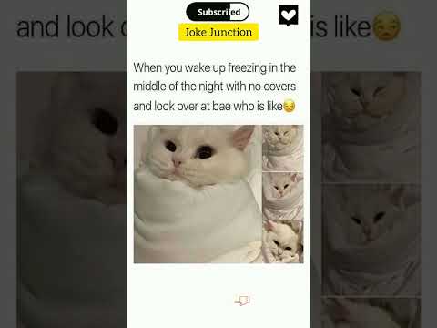 Trending Meme of The Week #Short