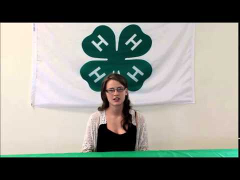4-H Beef Project