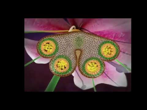 reproduction in flowering plants class 12 in 3D animation complete chapter in one short