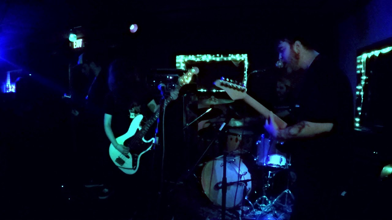 Hogarth- Directed (Live)