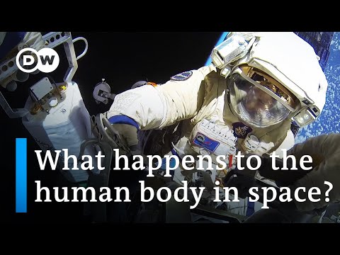 NASA, Space-X launch ISS mission to explore health hazards in space | DW News