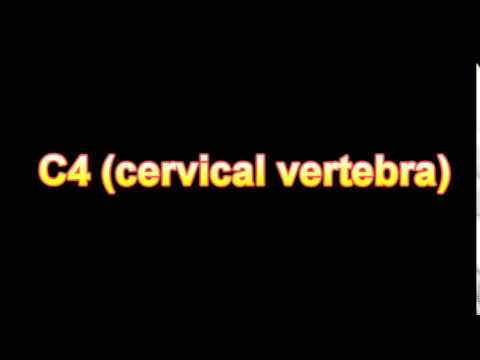 What Is The Definition Of C4 cervical vertebra Medical Dictionary Free Online