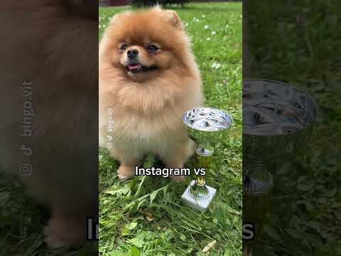 Instagram vs Reality | ENNEFER BINGO'VIT