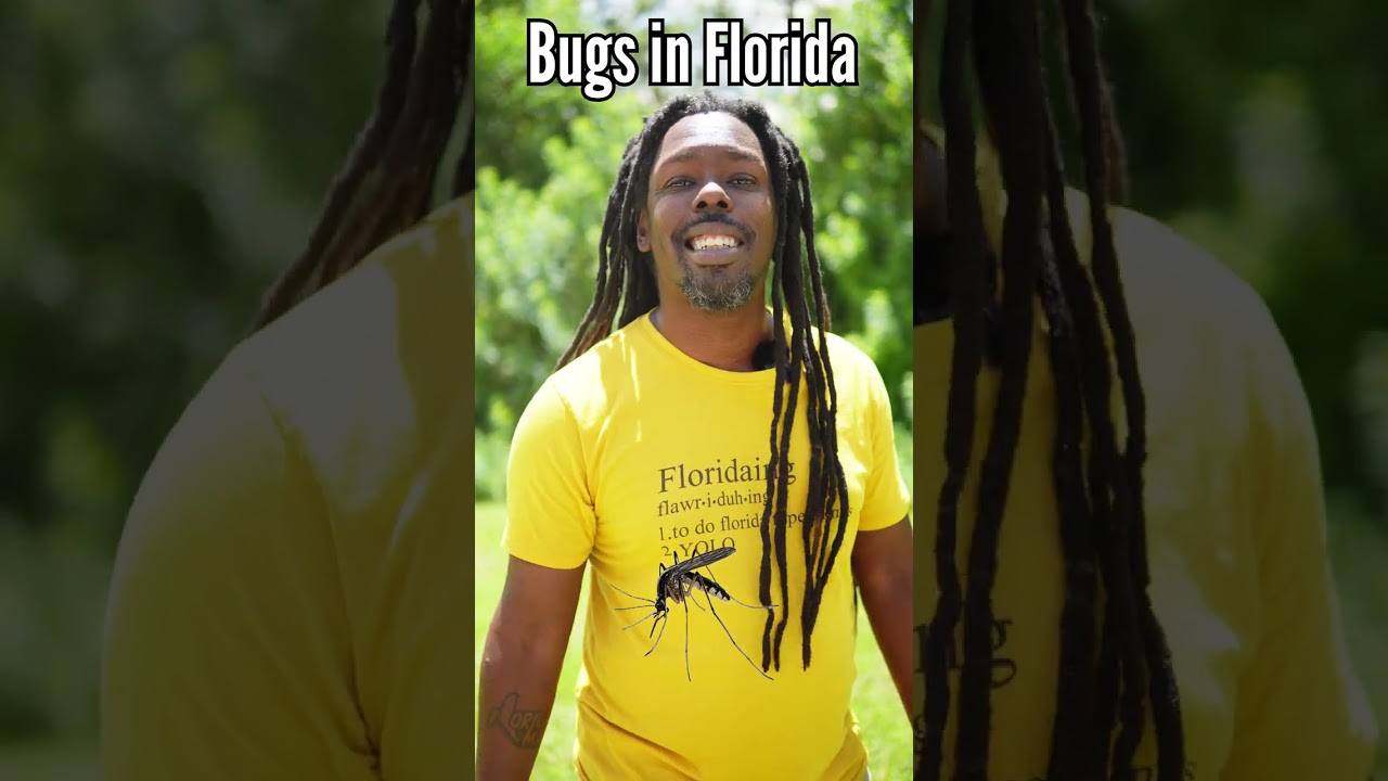 Florida Bugs: The Ultimate Survival Guide