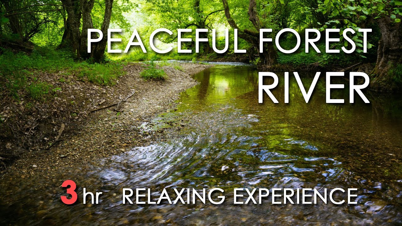 Relaxing River Sounds - Peaceful Forest River - 3 Hours Long - HD 1080p - Nature Video