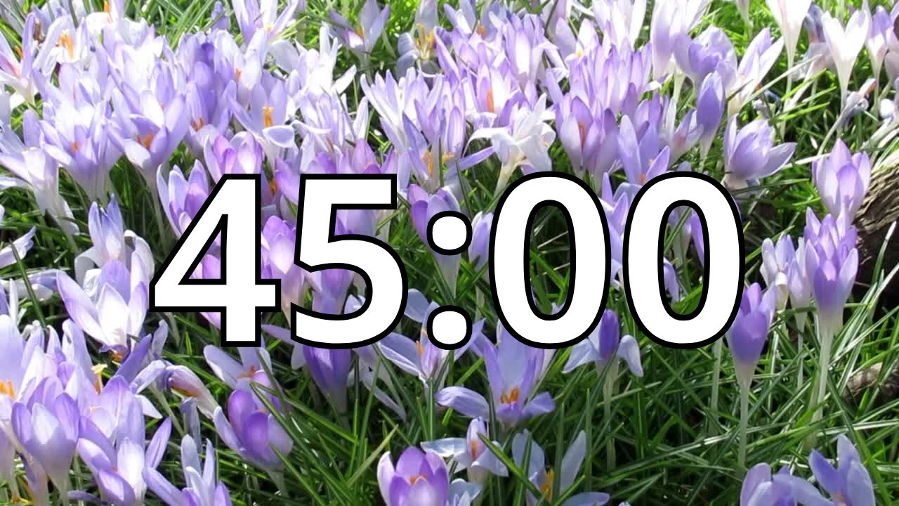 45 Minutes Timer with Music | Spring Timer