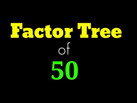 Factor Tree Of 50