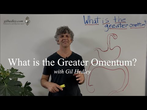 What is the Greater Omentum? Learn Integral Anatomy with Gil Hedley