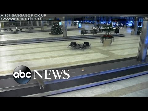 Index: Wild Coyote Taken Into Custody at Myrtle Beach Airport