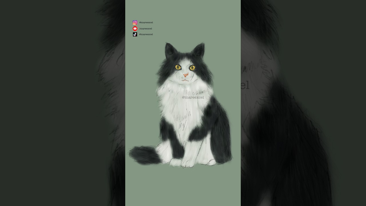 Let's draw a tuxedo cat! 🐈 #sketch #art #drawing #illustration #digitalart #cats #cutecats