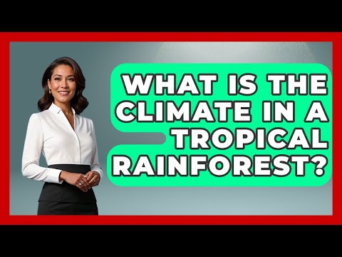 What Is The Climate In A Tropical Rainforest? - The Geography Atlas