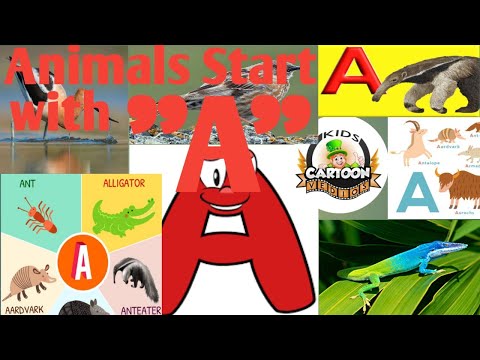 Animals name start with A | animals name | animals name with A | animals names start with a