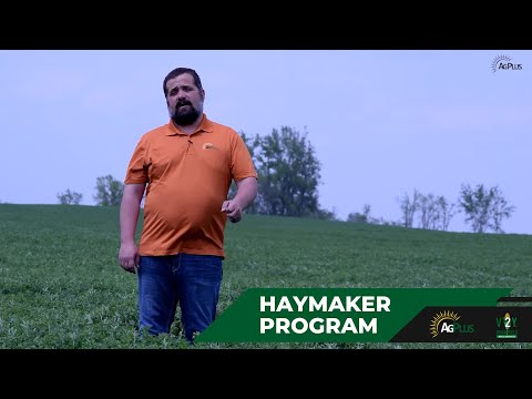 Maximizing Alfalfa Yield & Quality with Ag Plus Haymaker Program