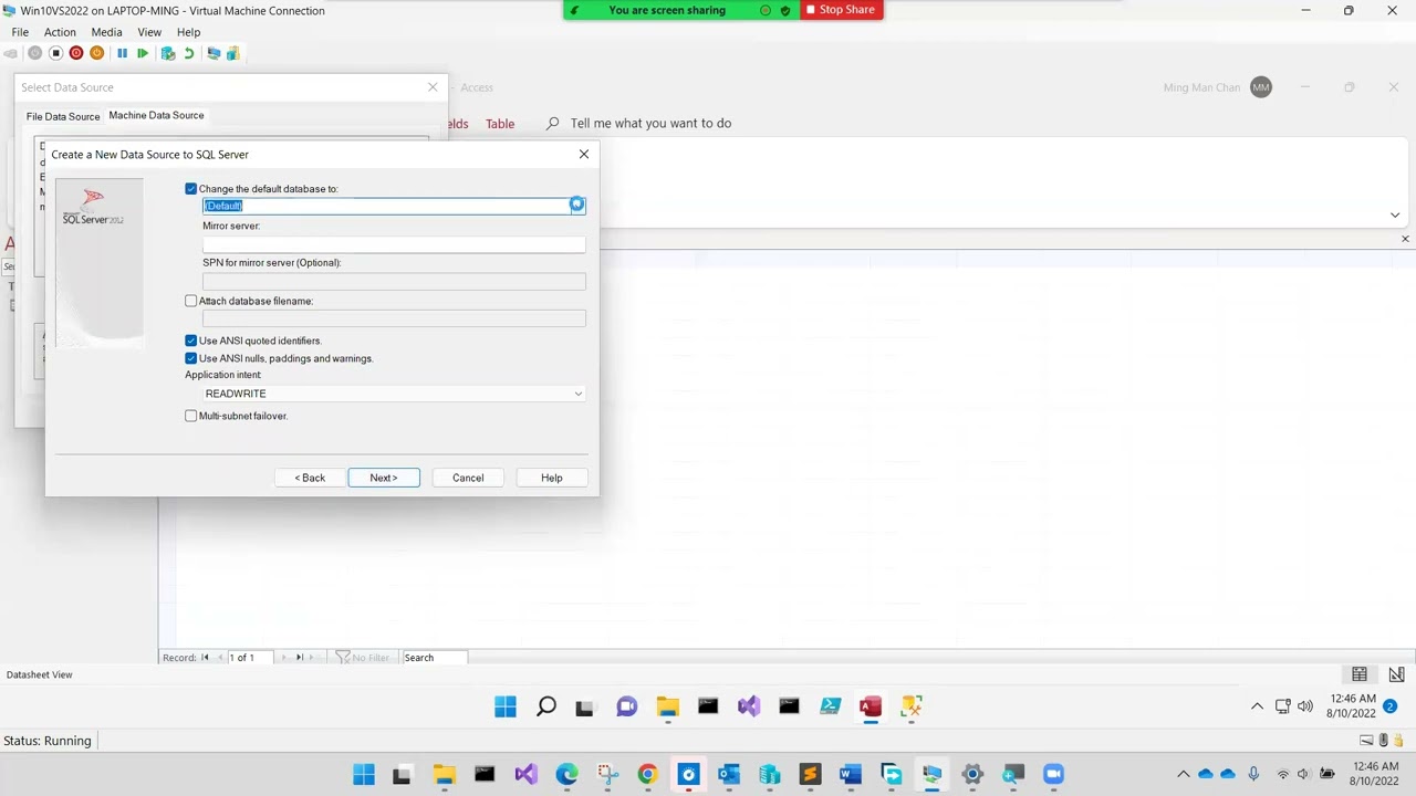 Create Read Update Delete SQL Server data using Microsoft Access