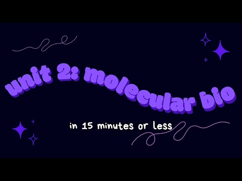 MOLECULAR BIOLOGY: enzymes