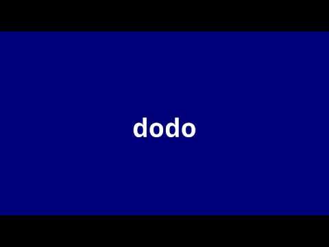 what is the meaning of dodo
