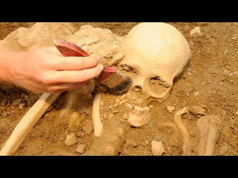 Archaeology_what is Archaeology/definition of Archaeology@ScienceLearning-hr2oo